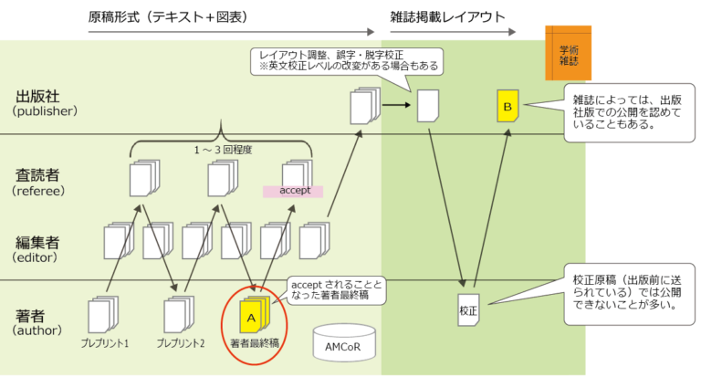 AMCoRについて – AMUL